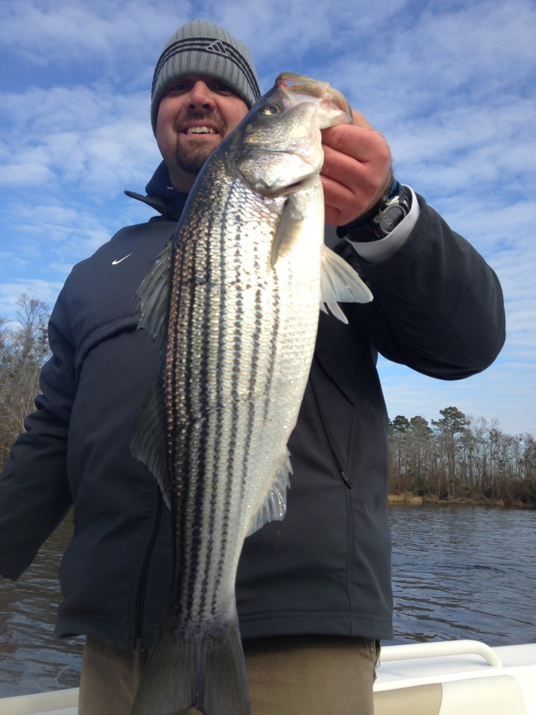 Tar River Stripers, Capt. Mitchell Blake - Eastern NC Fishing Guide