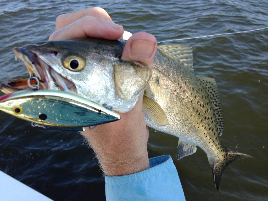 Neuse River Inshore Slam - FishIBX Eastern NC Fishing Guide Neuse River Inshore Slam - FishIBX Eastern NC Fishing Guide
