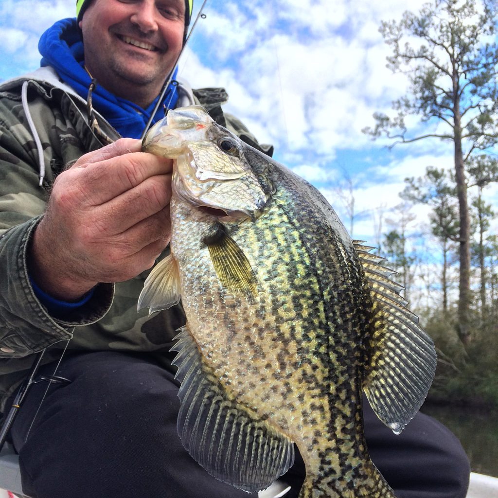 River Crappie On Jigs - FishIBX Eastern NC Fishing Guide River Crappie On Jigs - FishIBX Eastern NC Fishing Guide