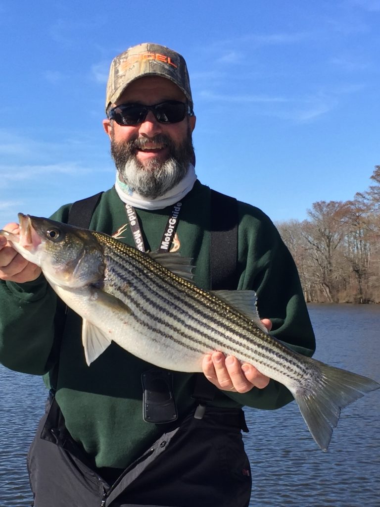 Pamlico Tar River Stripers - FishIBX Eastern NC Fishing Guide Pamlico Tar River Stripers - FishIBX Eastern NC Fishing Guide