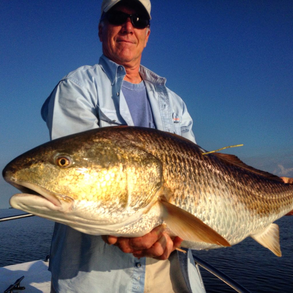 Trophy Redfish, Book Now - Eastern NC Fishing Guide