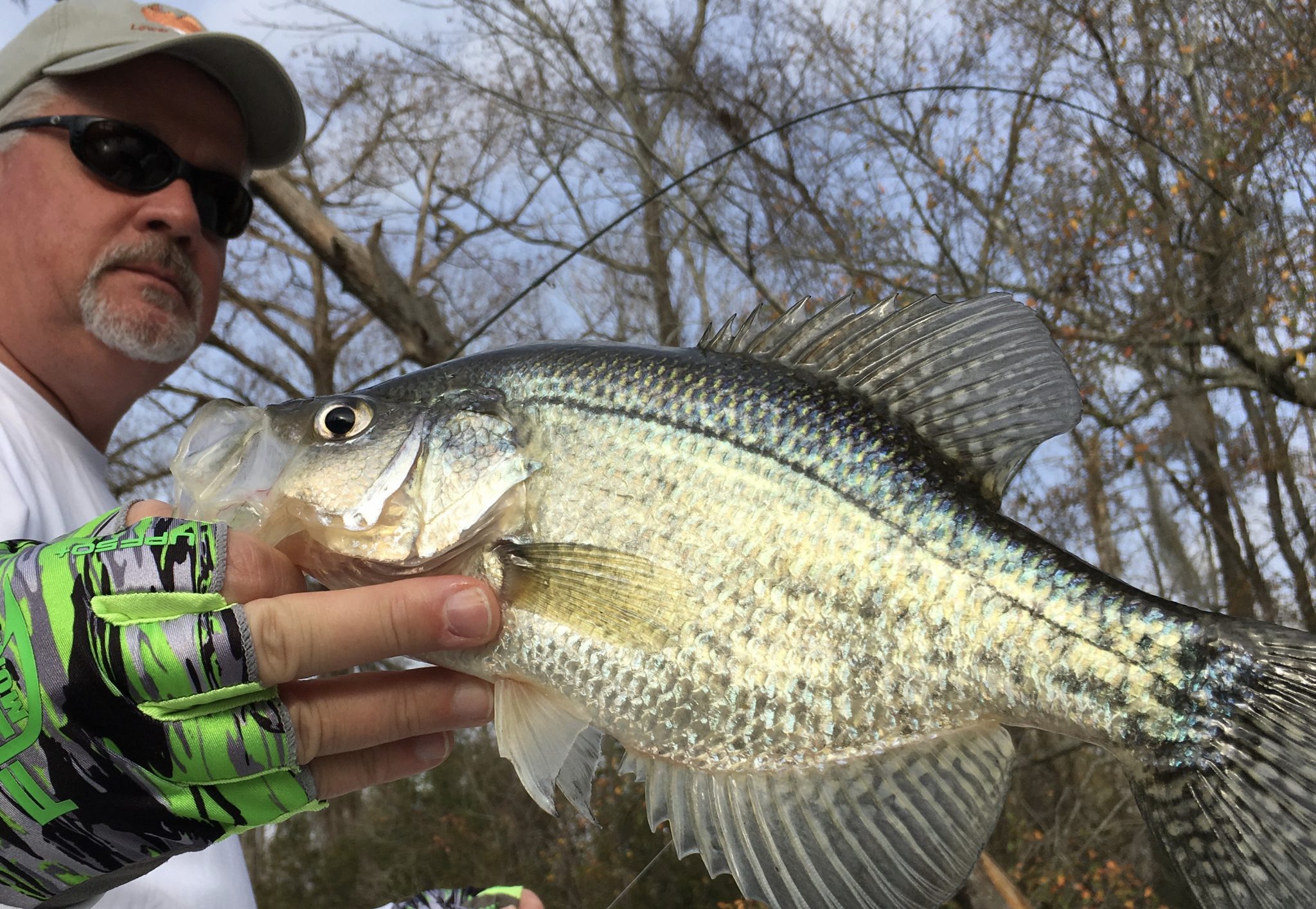 NC Winter Crappie Fishing - Eastern NC Fishing Guide