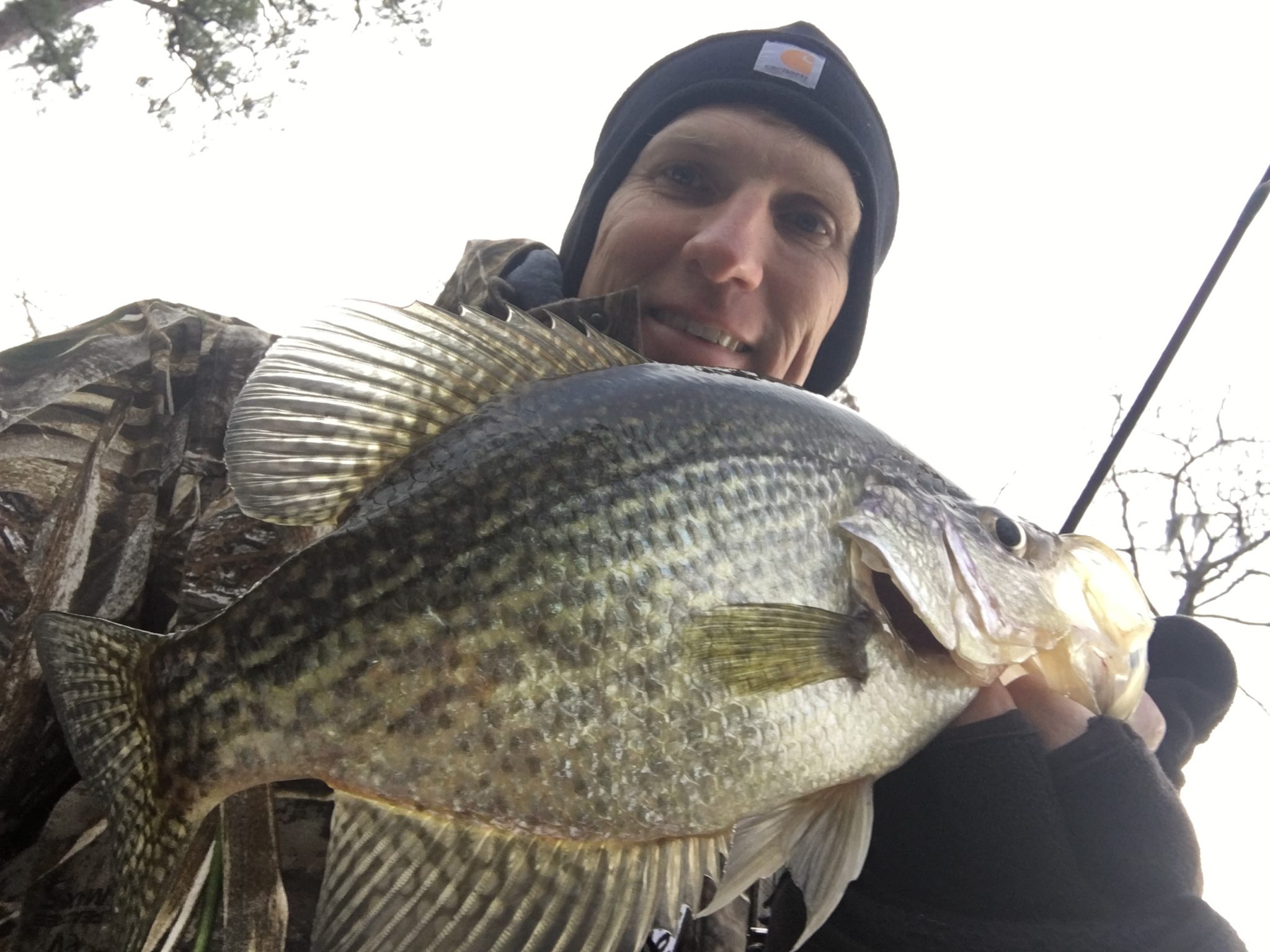 NC Winter Crappie Fishing - Eastern NC Fishing Guide