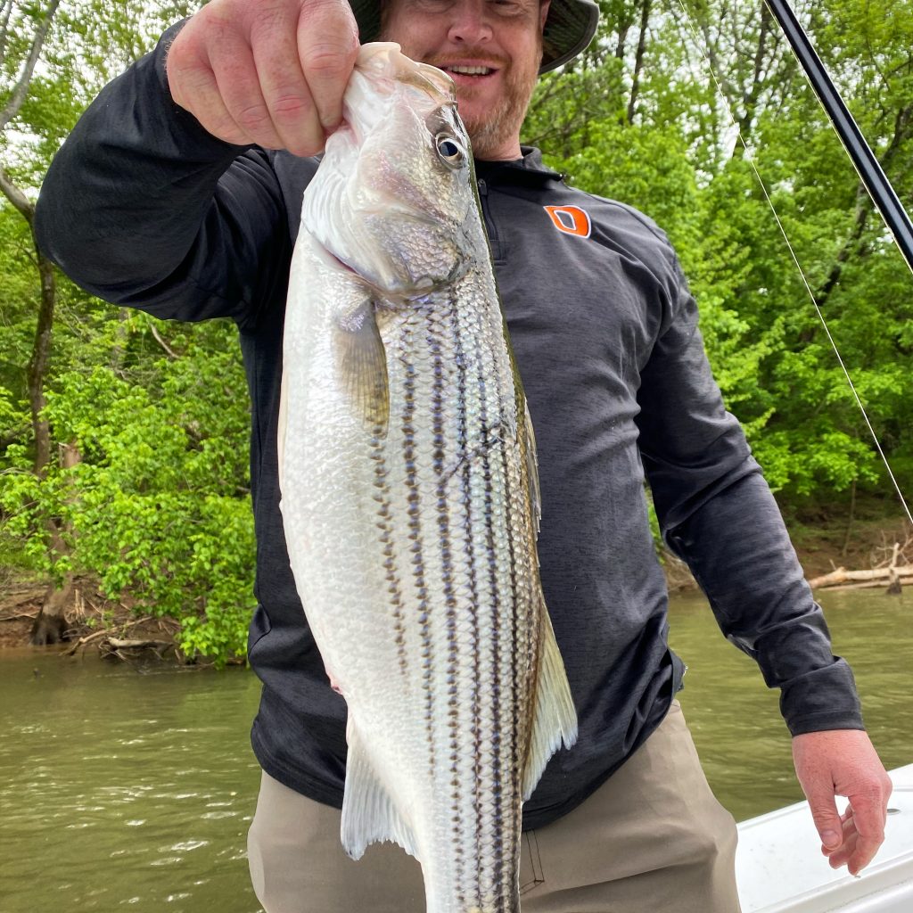 Weldon NC, Rockfish Capital Of The World - Eastern NC Fishing Guide