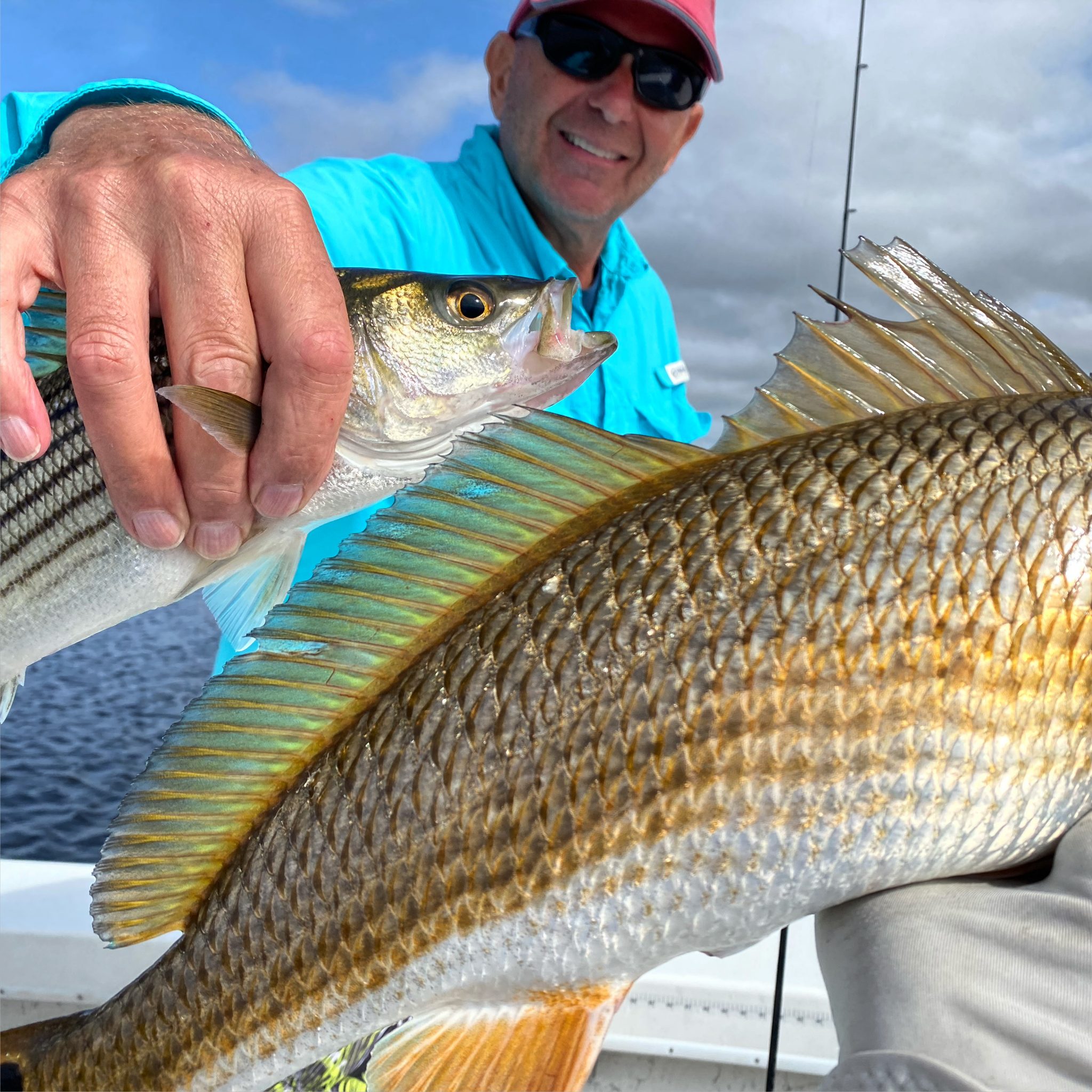 Inshore Slam, Mixed Bag Fishing - Eastern NC Fishing Guide Inshore Slam, Mixed Bag Fishing - Eastern NC Fishing Guide