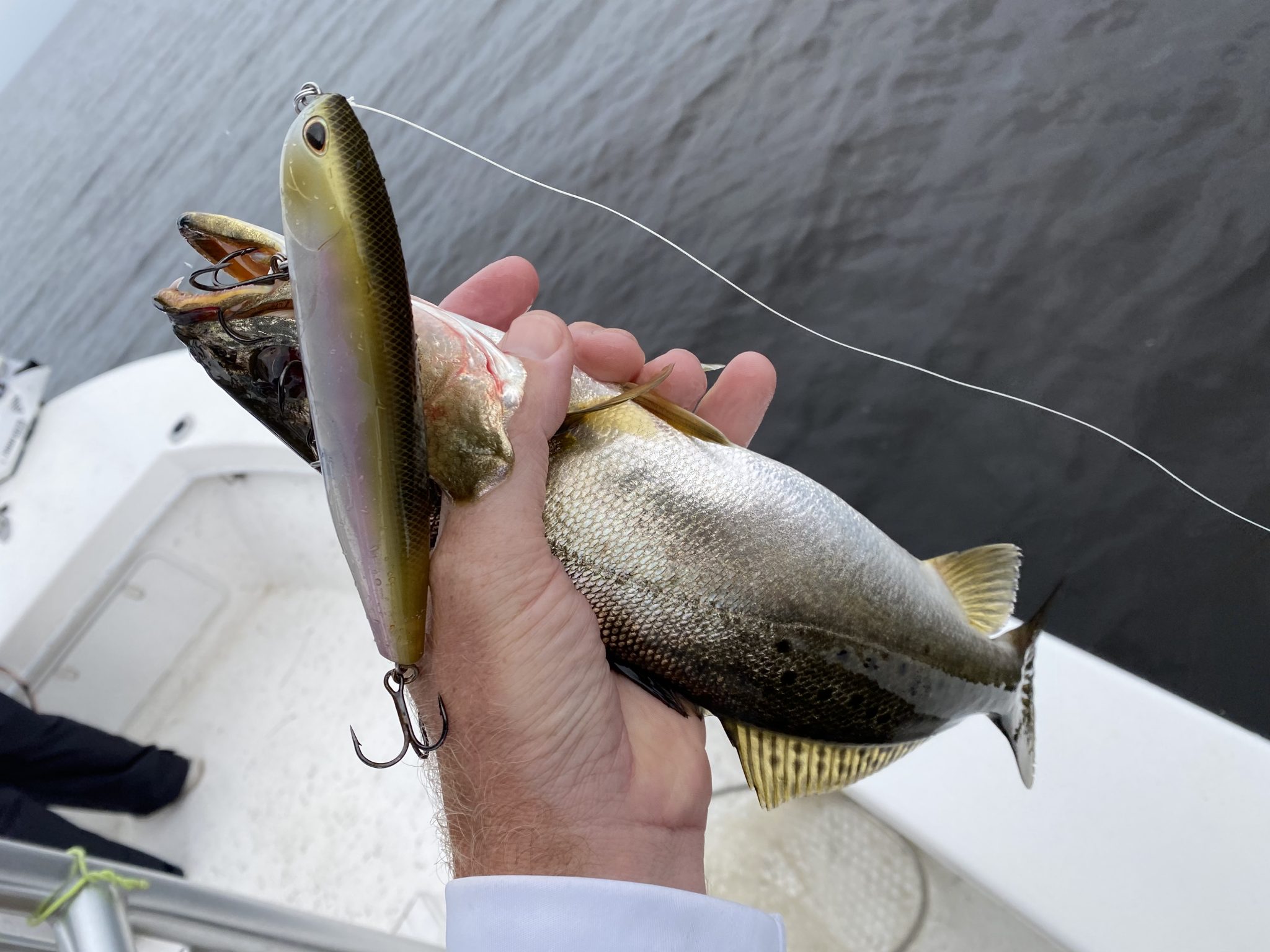 Top Water Trout, Rat-L-Trap Trout and Mixed Bag Action - Eastern NC ...