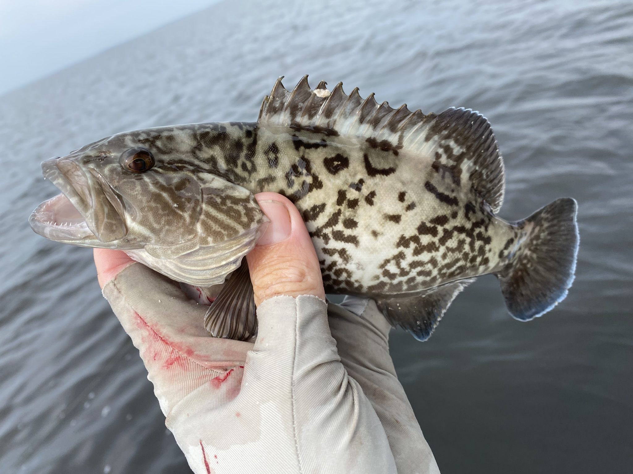 Catching Deep Trout - Eastern NC Fishing Guide