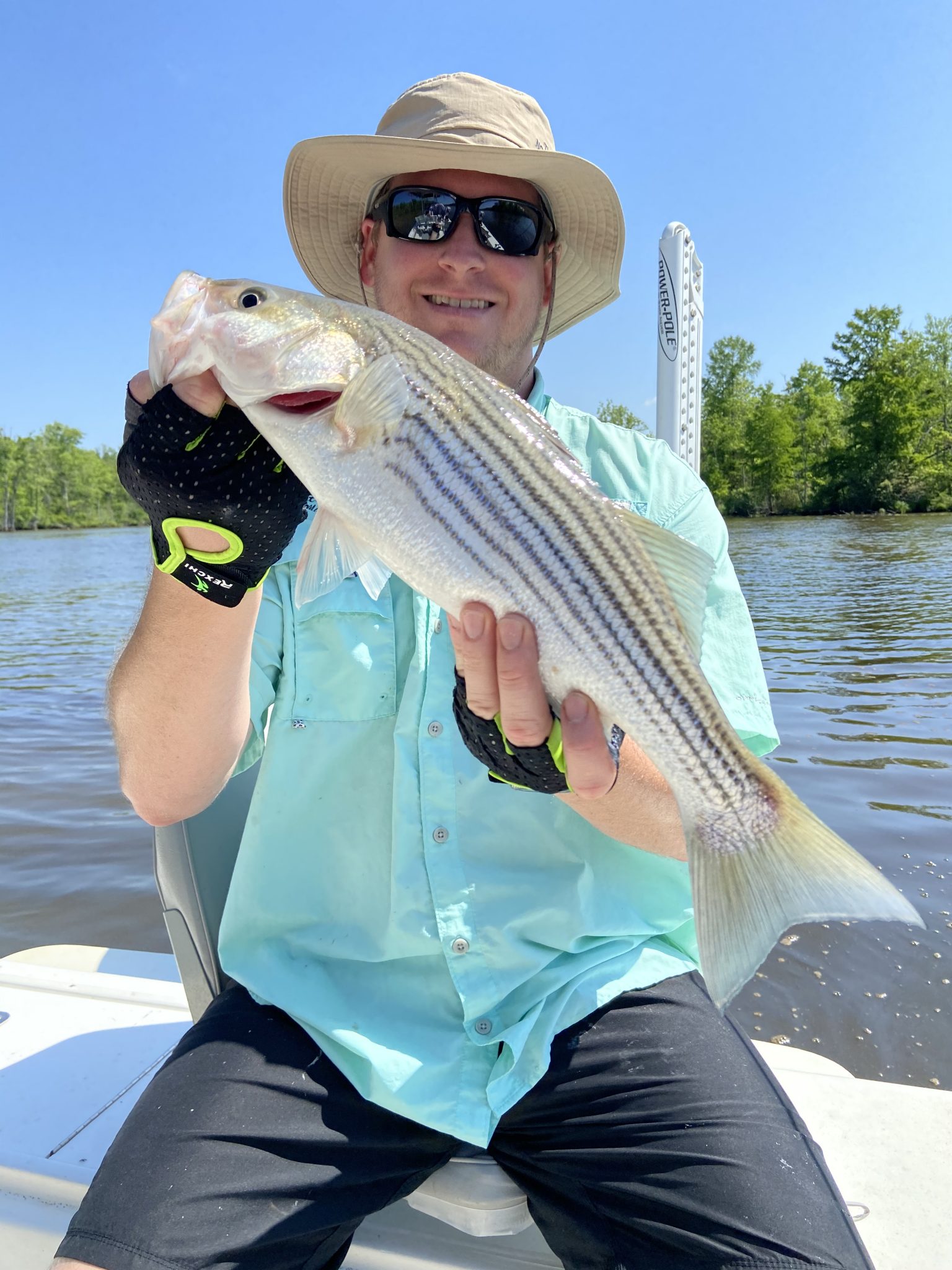 Roanoke River Mixed Bag Action - Eastern NC Fishing Guide Roanoke River Mixed Bag Action - Eastern NC Fishing Guide