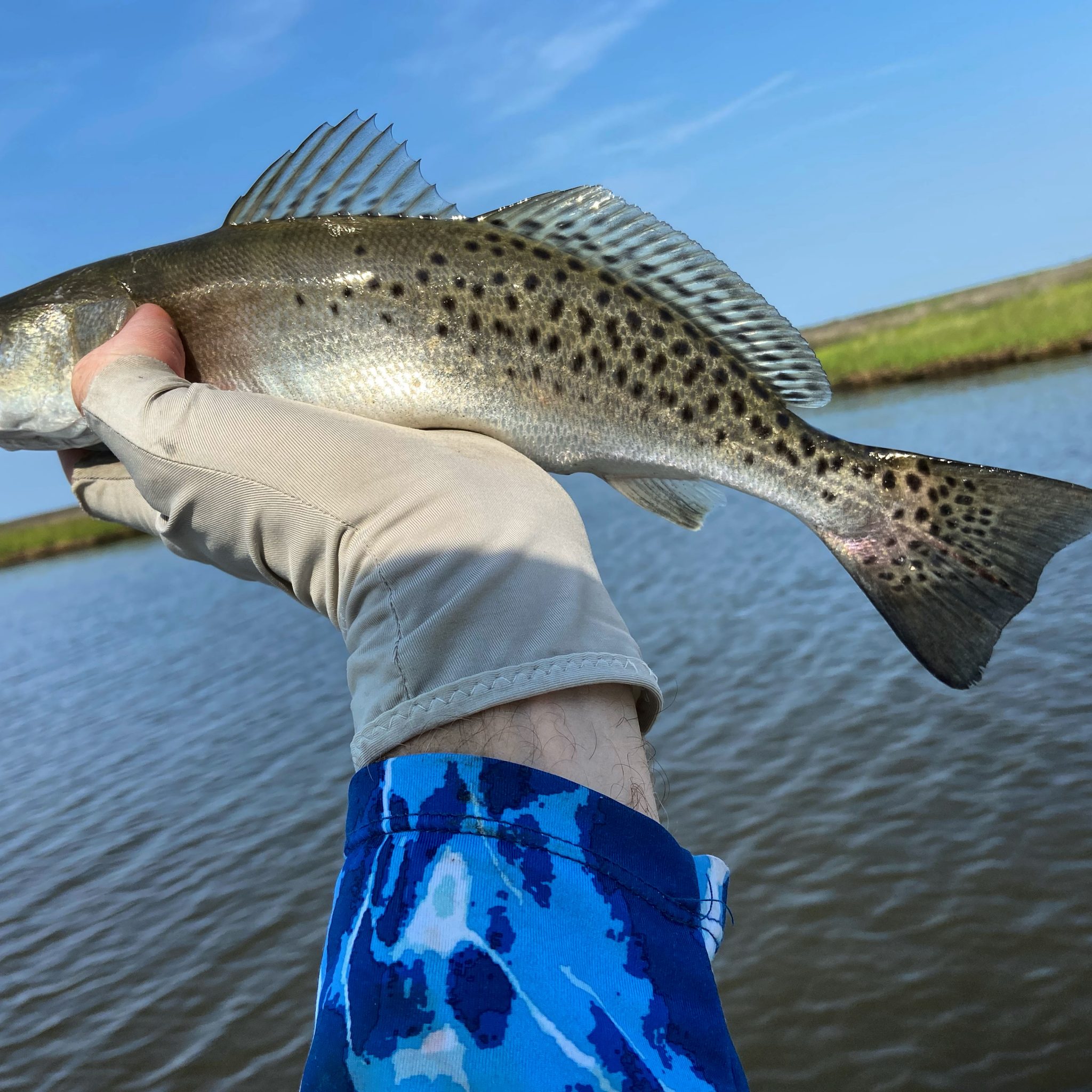 Mixed Bag Pamlico Sound - Eastern NC Fishing Guide