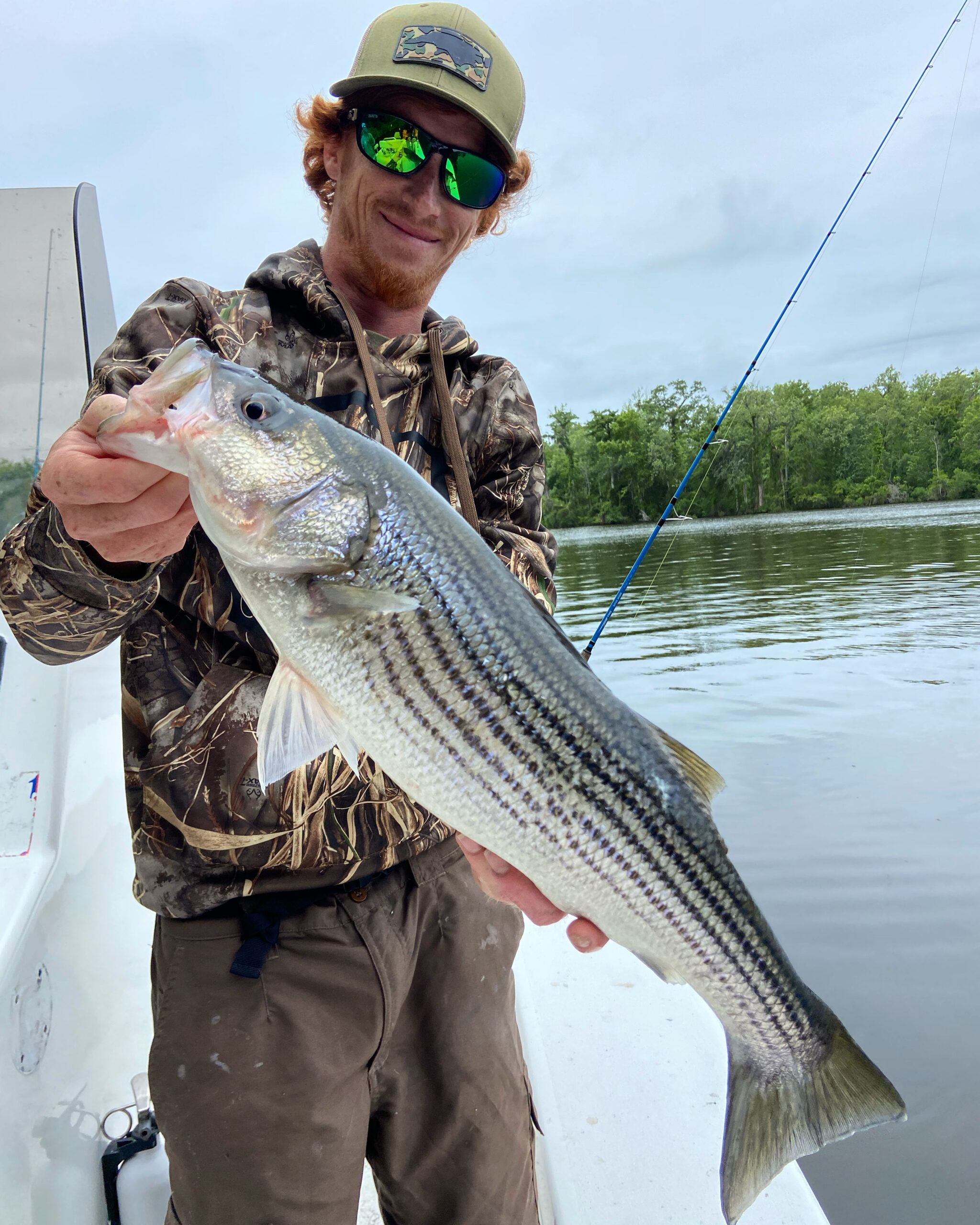 Tar River Stripers and Cats - Eastern NC Fishing Guide