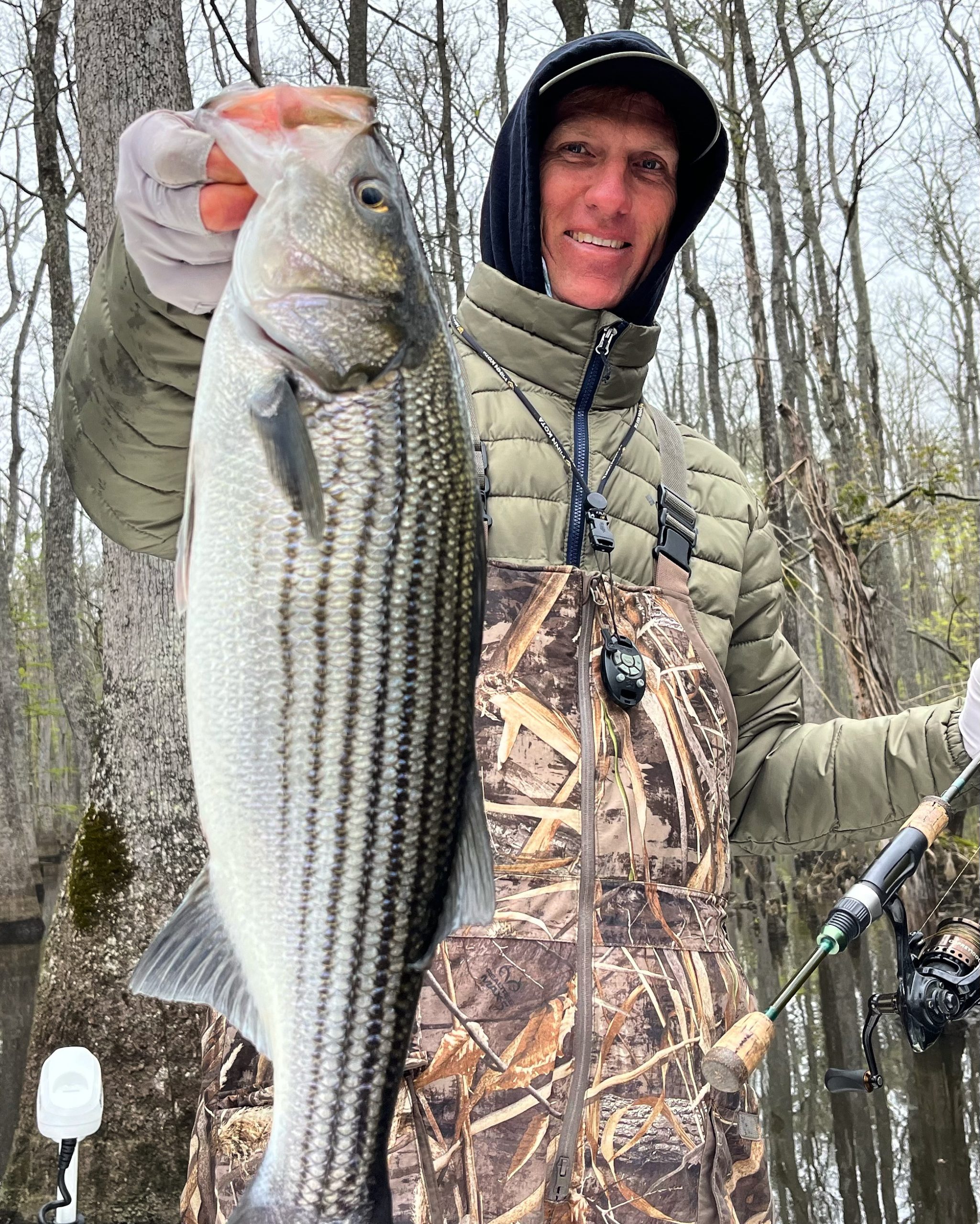 Roanoke River Striped Bass Fishing With A Professional Guide - Eastern ...